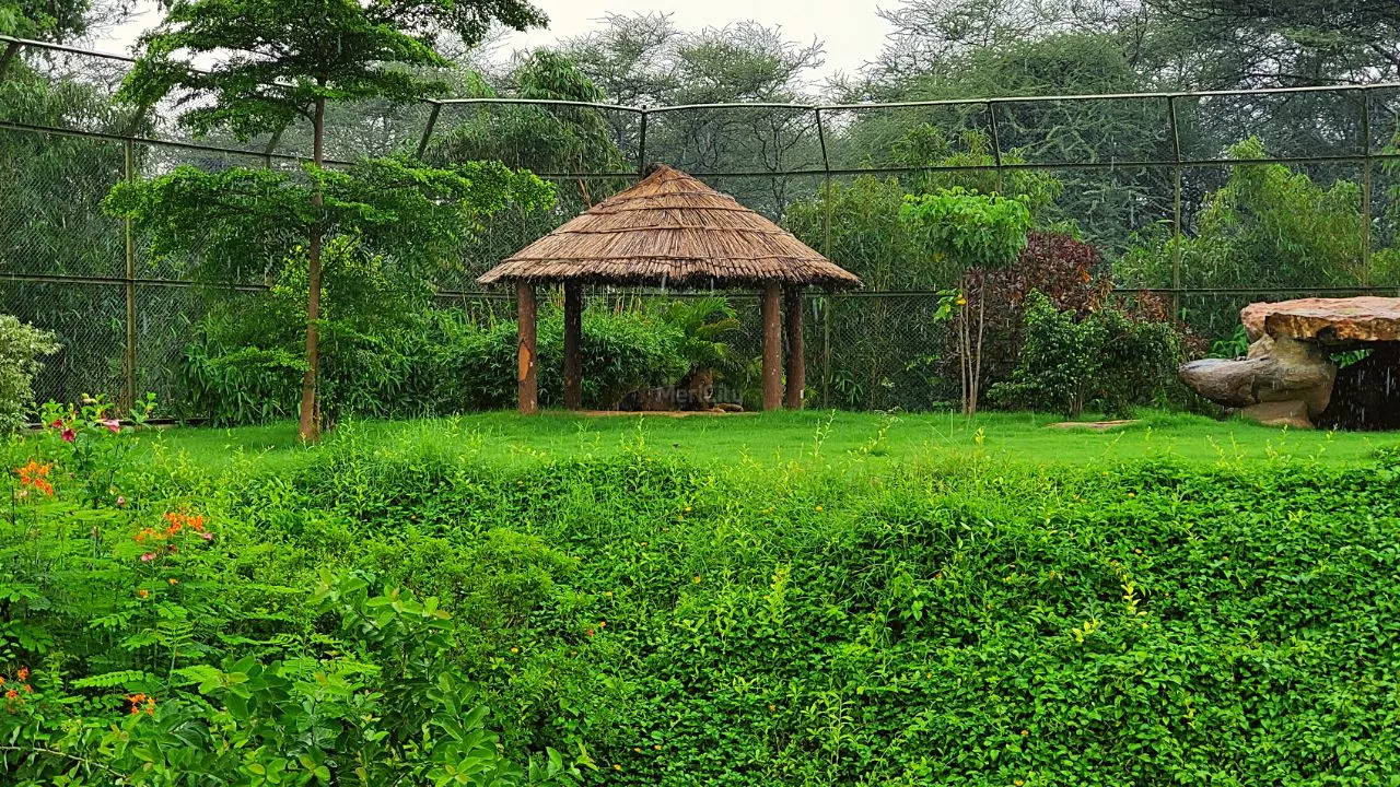 Uparkot Fort, Junagadh - Heritage